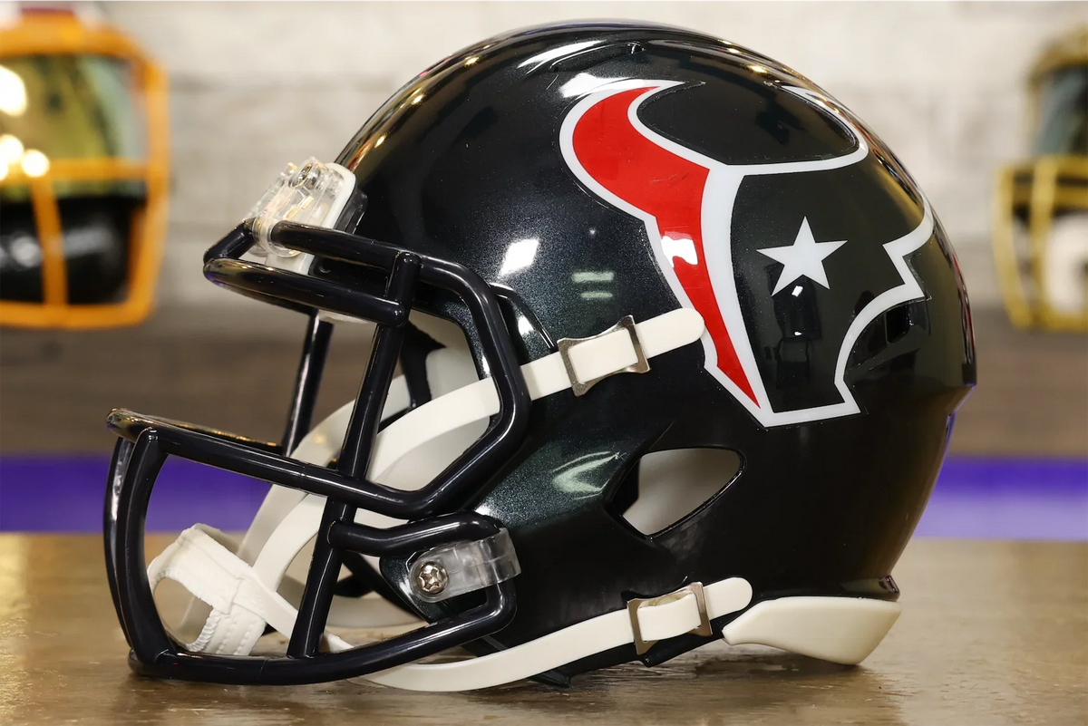 Houston Texans Riddell Speed Mini Helmet – Green Gridiron, Inc.