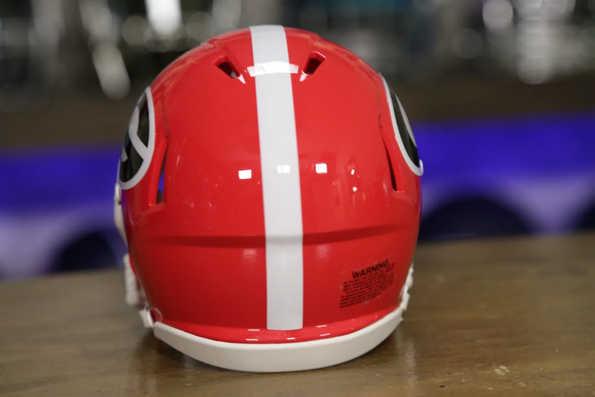 Georgia Bulldogs Riddell Speed Mini Helmet – Green Gridiron, Inc.