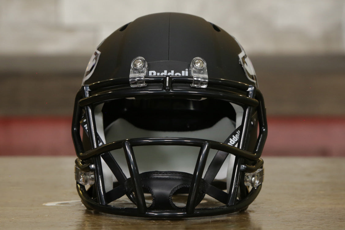 Northern Illinois Huskies Riddell Speed Mini Helmet – Green Gridiron, Inc.