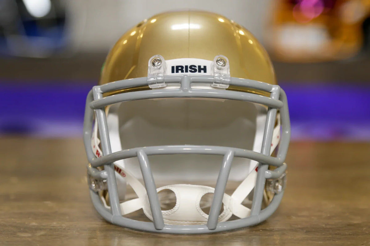 Notre Dame Fighting Irish Riddell Speed Mini Casco – Green Gridiron, Inc.