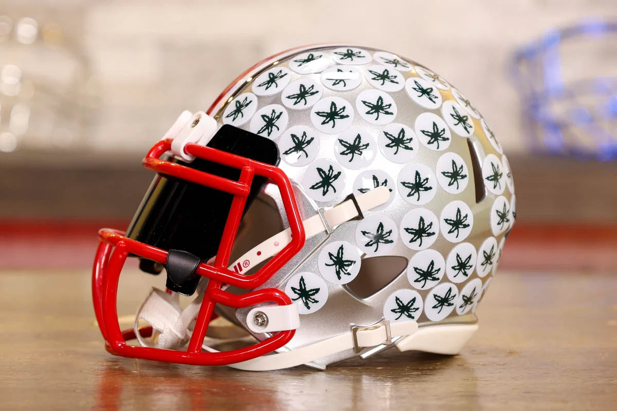 Ohio State Buckeyes Riddell Speed Mini Helmet - GG Edition – Green ...
