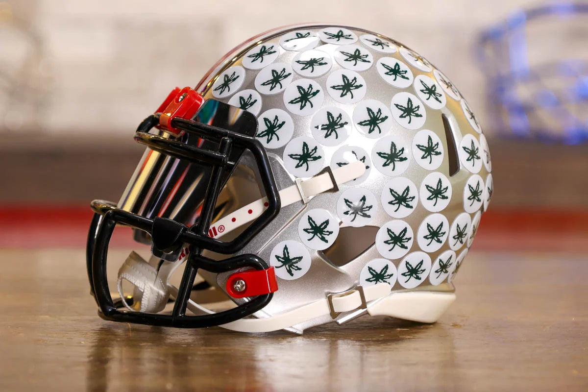 Ohio State Buckeyes Riddell Speed Mini Helmet - GG Edition – Green ...
